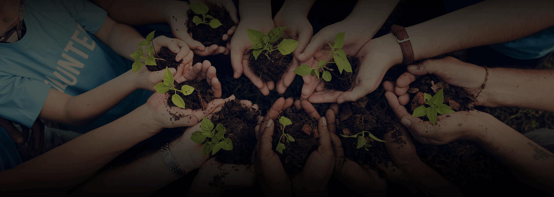 Luminary Learning Circle Foundation (LLCF) – Pakistan